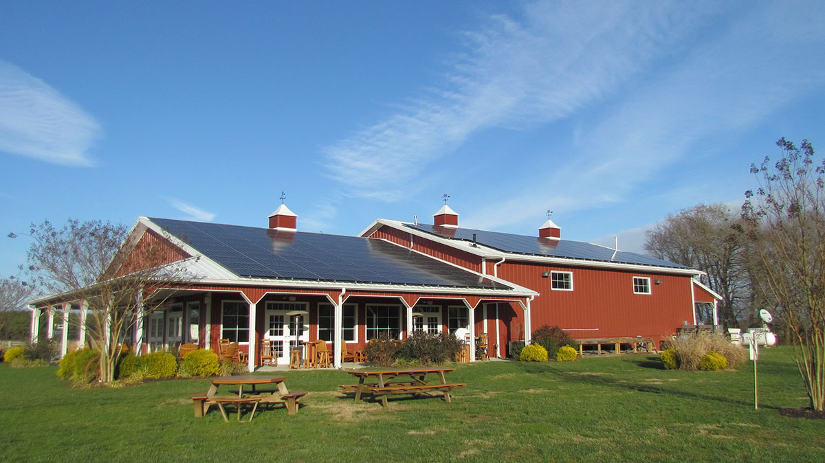 MD Vineyard Energizes with Solar - Paradise Energy