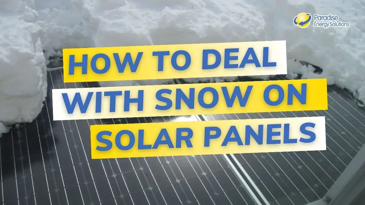 Expert Tips for Dealing with Snow on Solar Panels | Paradise Energy